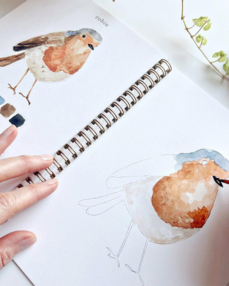 Birds Watercolor Workbook | EMILY LEX STUDIO | The Paper Store