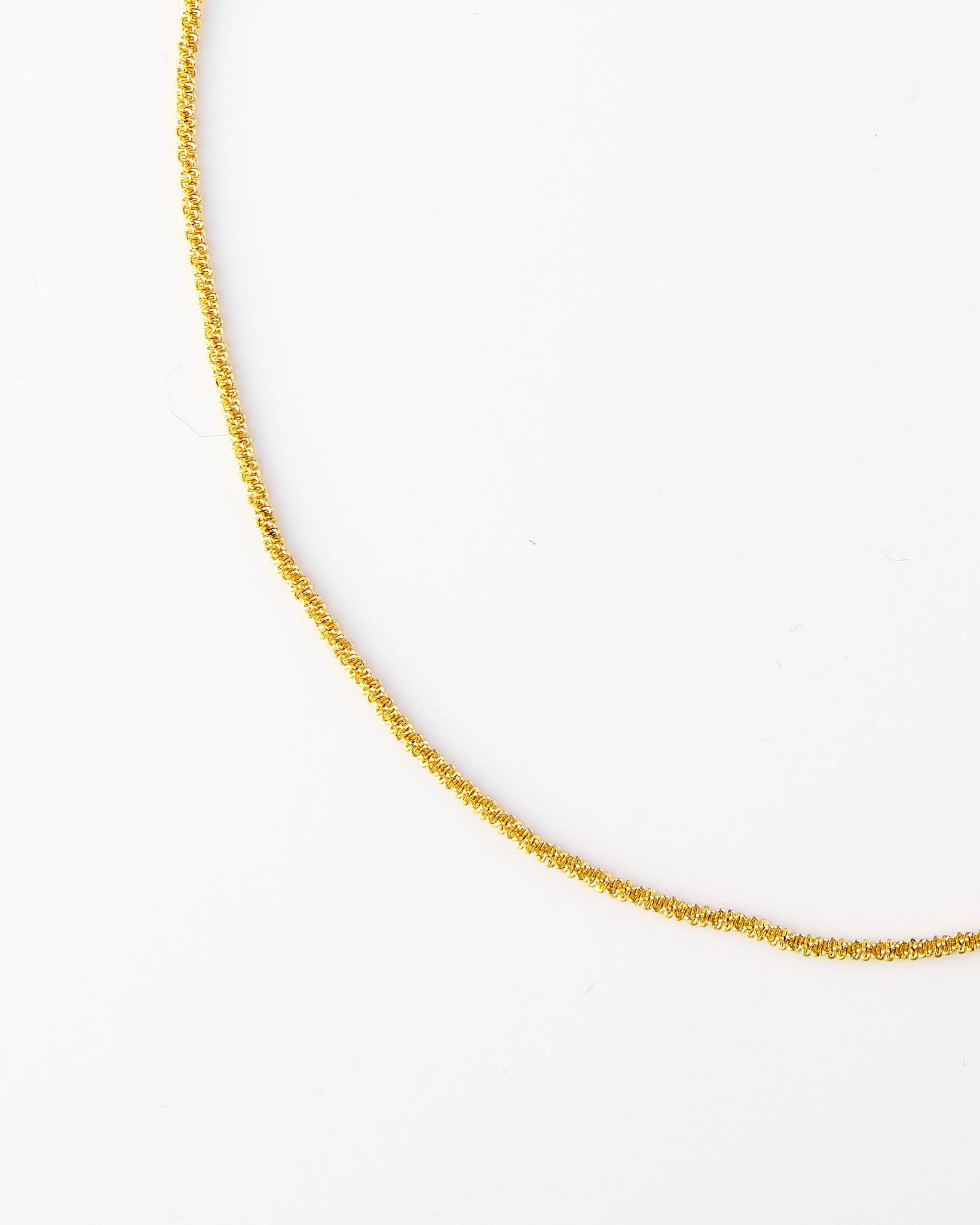 Coil Chain Necklace in Gold | Oz Jewerly | The Paper Store