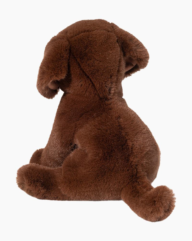 Zoom Chocolate Lab Plush Toy | Douglas | The Paper Store