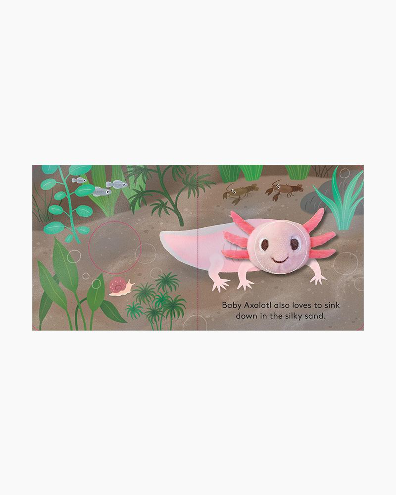 Baby Axolotl Finger Puppet Book | Hachette Book Group | The Paper Store