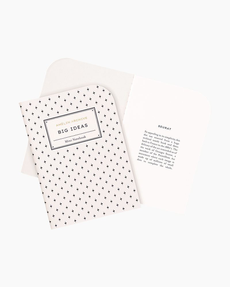 Big Ideas Notebook Set (Pack of 3) | Lifeguard Press | The Paper Store