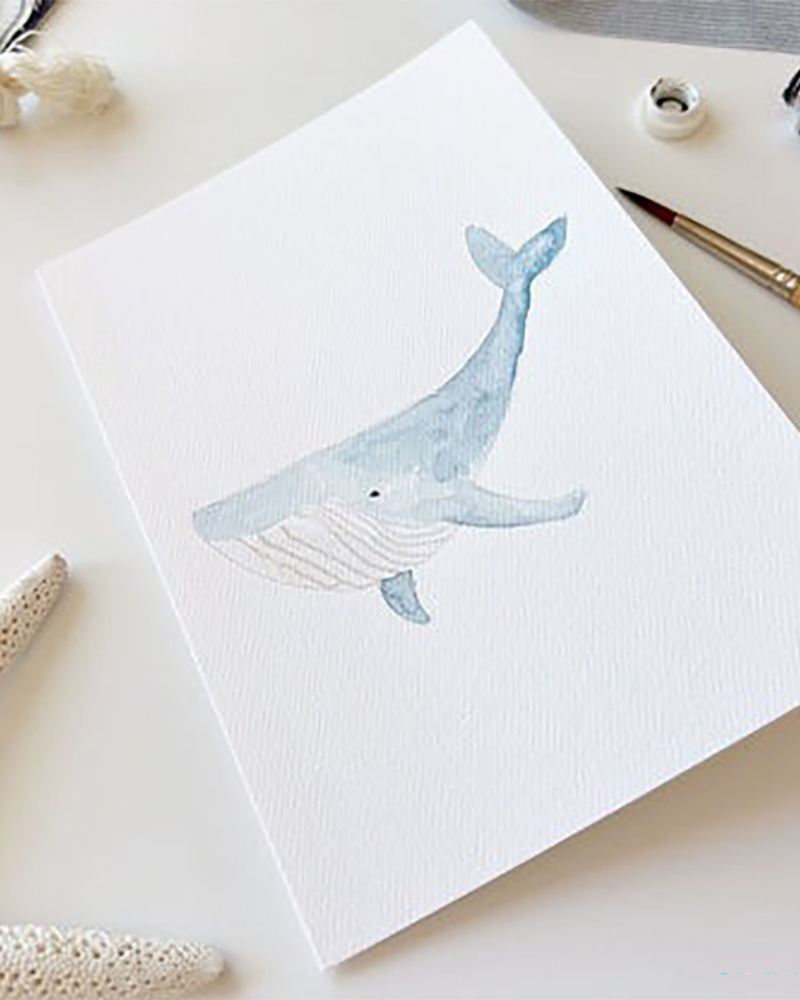 Seaside Paintable Notecard Set | EMILY LEX STUDIO | The Paper Store