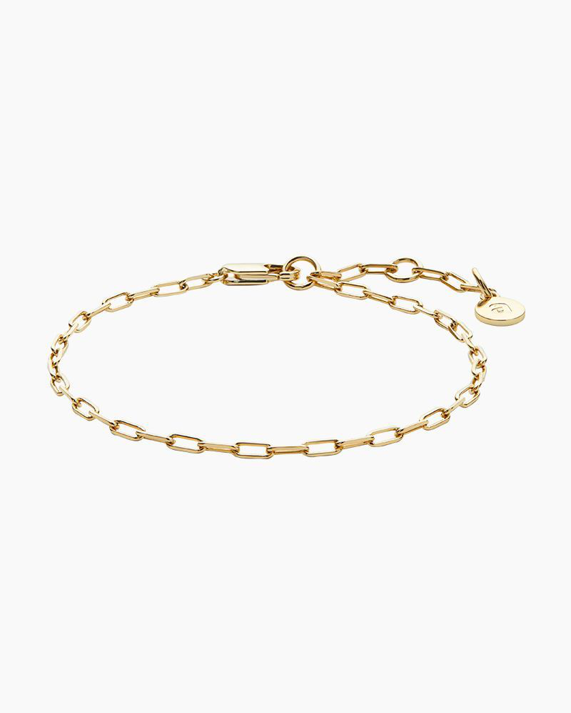 Poetry Slim Link Chain Bracelet in Gold | Ana Luisa | The Paper Store