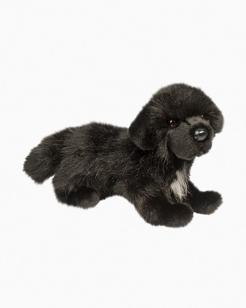 Bundy Newfoundland Plush Toy | Douglas | The Paper Store