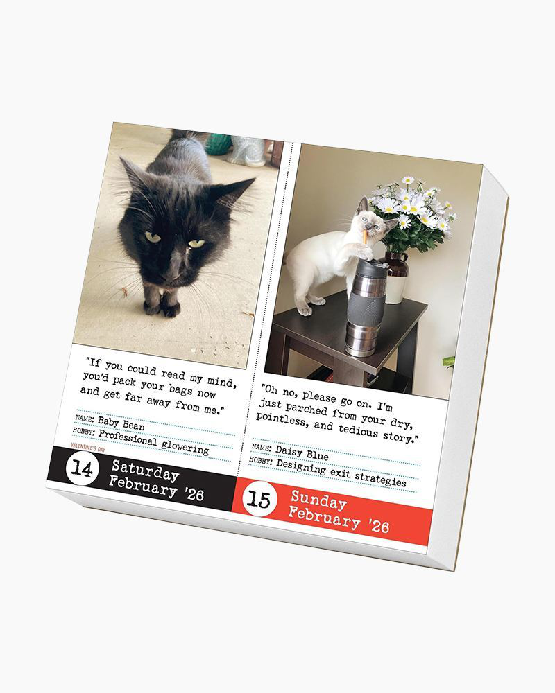 Bad Cat Page-A-Day Calendar 2026 | Hachette Book Group | The Paper Store
