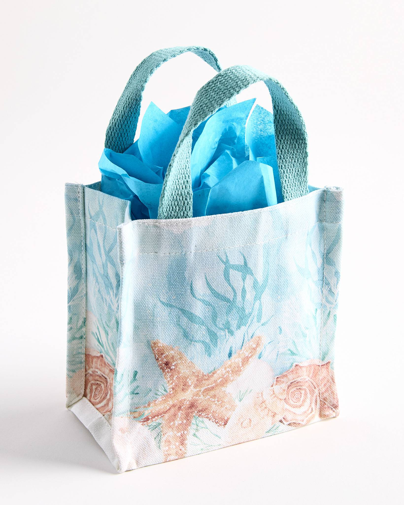 Coastal Small Canvas Tote with Tissue Paper | The Paper Store | The ...