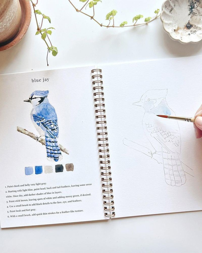 Birds Watercolor Workbook | EMILY LEX STUDIO | The Paper Store