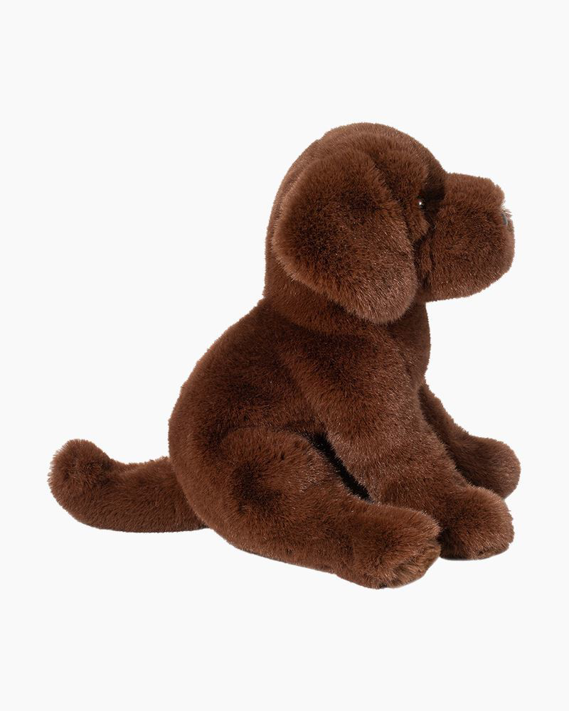 Zoom Chocolate Lab Plush Toy | Douglas | The Paper Store