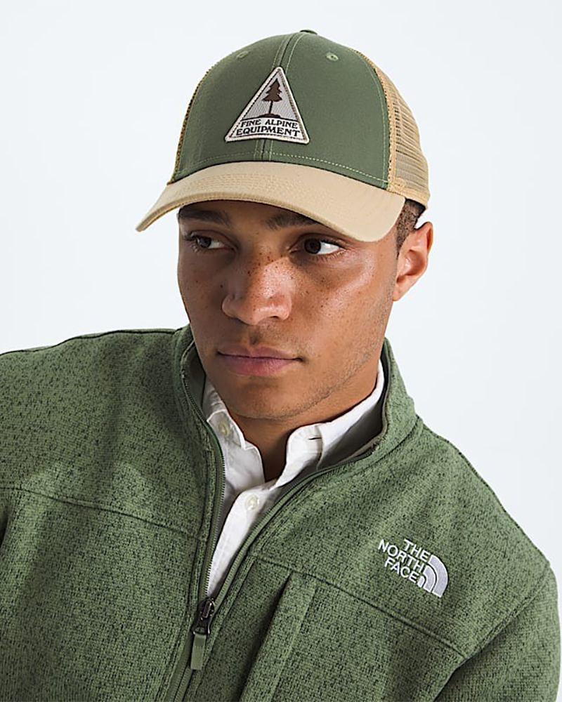 Alpine Graphic Mudder Trucker Hat in Bark Mist | The North Face | The ...