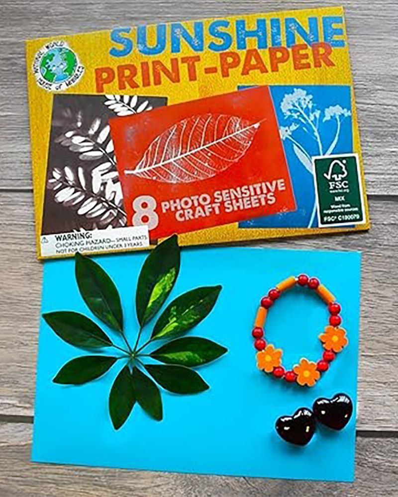 Sunshine Print Paper Kit | House Of Marbles | The Paper Store