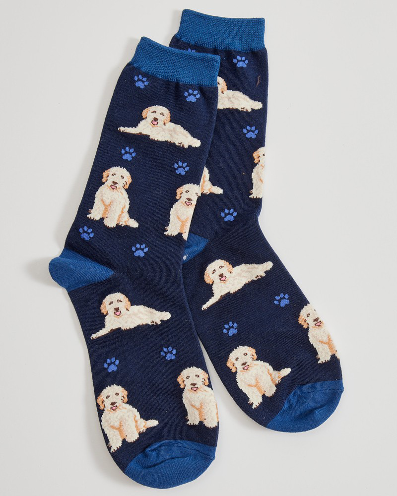 Goldendoodle Happy Tails Socks in Grey | E&S Imports | The Paper Store