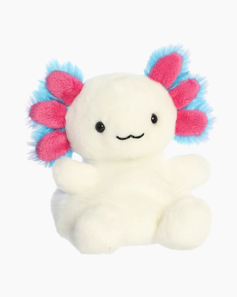 Jax Bluegill Axolotl Palm Pals Plush | Palm Pals | The Paper Store