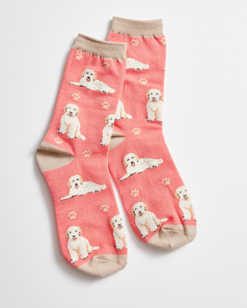 Goldendoodle Happy Tails Socks in Peach | E&S Imports | The Paper Store