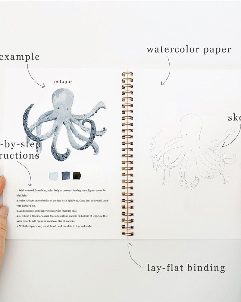 Seaside Watercolor Workbook | EMILY LEX STUDIO | The Paper Store
