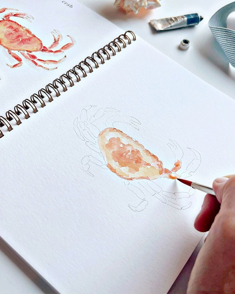 Seaside Watercolor Workbook | EMILY LEX STUDIO | The Paper Store